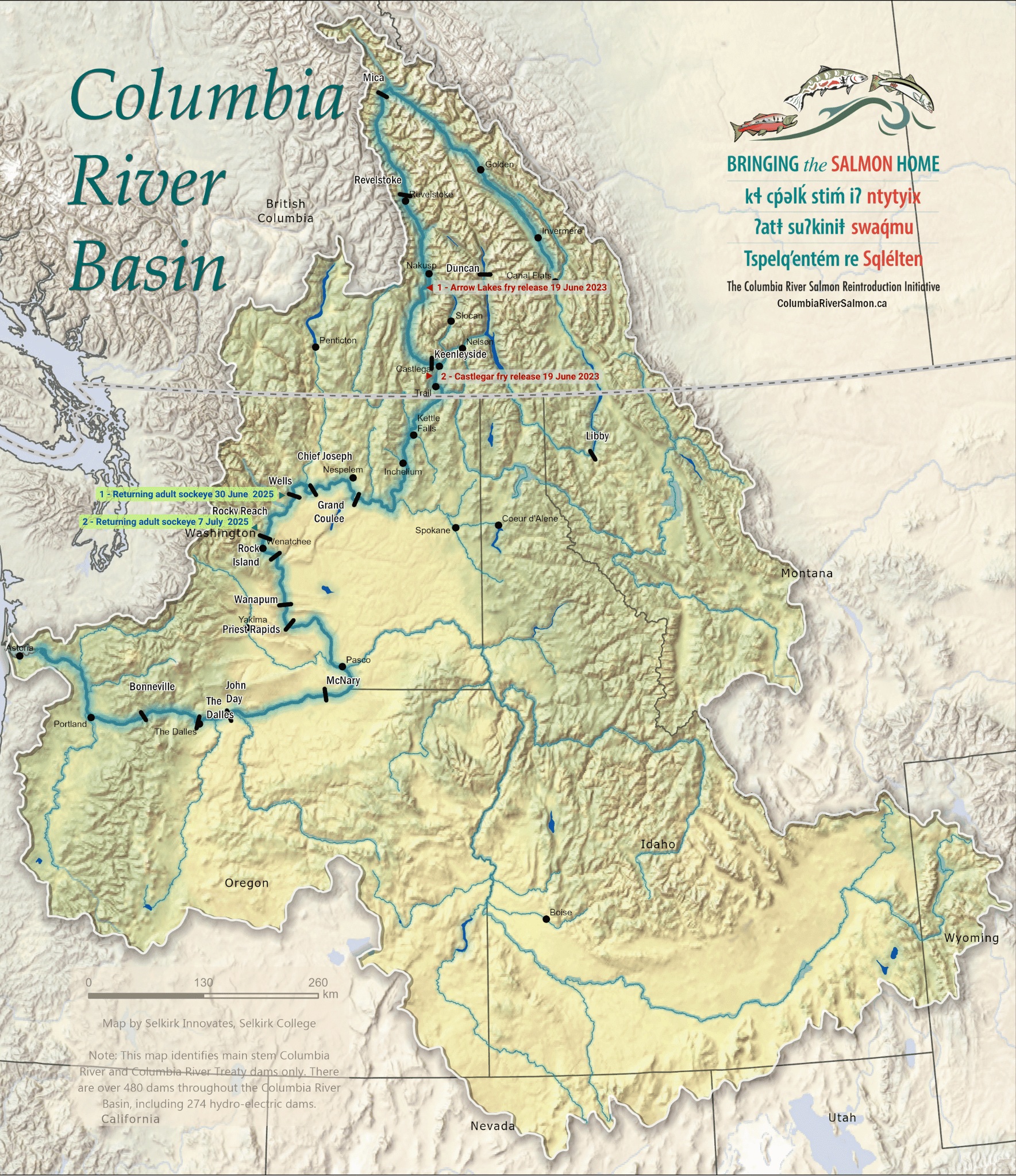 The salmon are coming home: Historic return to the Columbia River ...